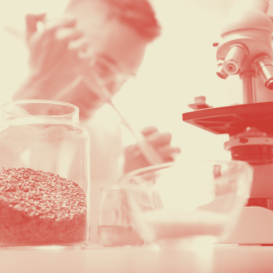 Qemia Group. Chemia dla rozwoju Twojej firmy - Qemia Group